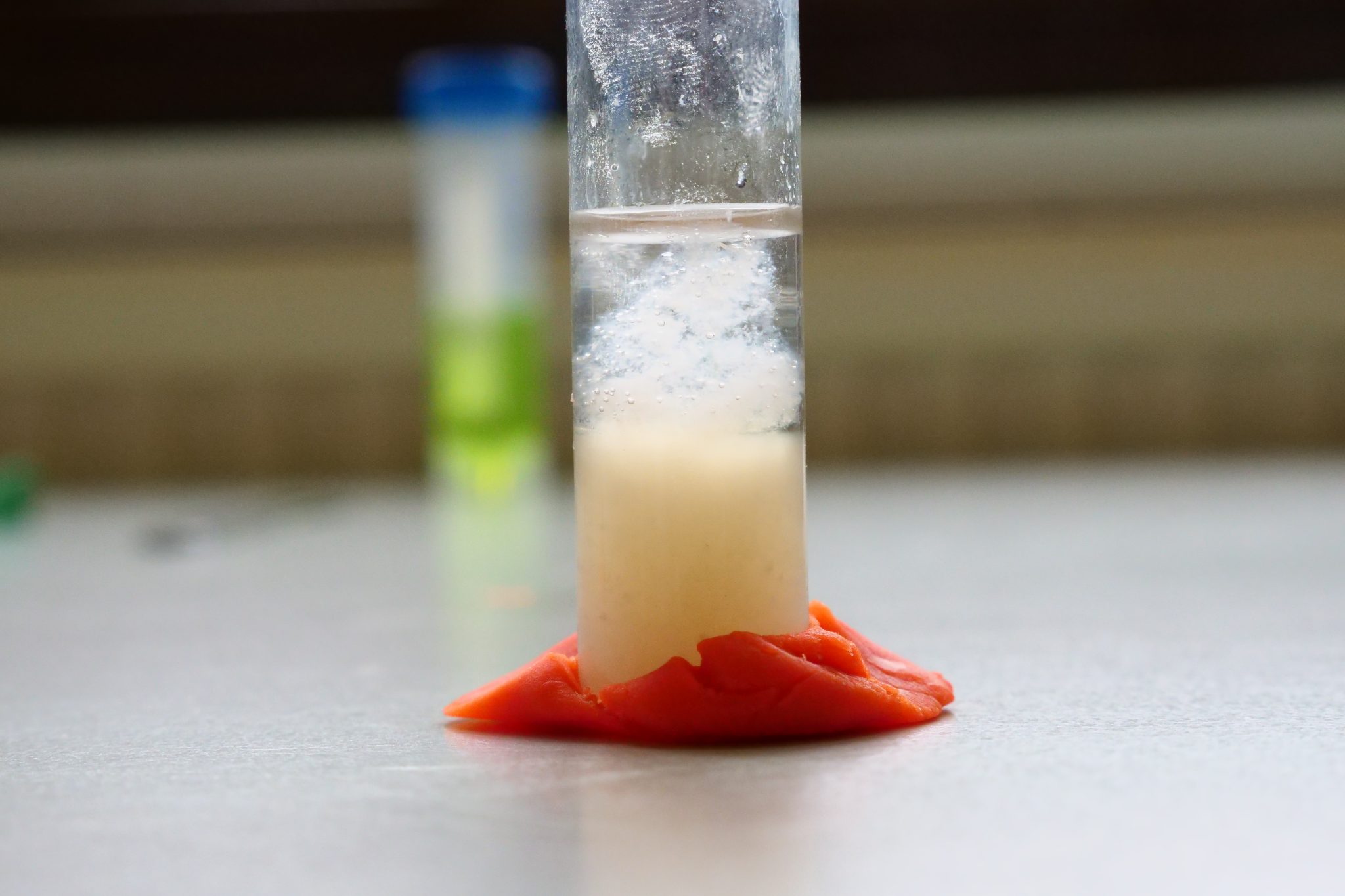 Extraction d’ADN & observation de noyaux de cellules d’épiderme d’oignon - Sciences à emporter
